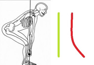 Powerlifting Technique and Leverages – PowerliftingToWin