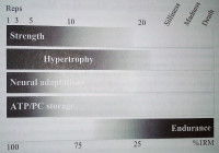 Undertraining vs. Overtraining: Intensity, Volume, and Frequency ...