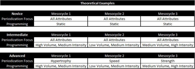 Periodization for Novice, Intermediate, and Advanced Lifters ...