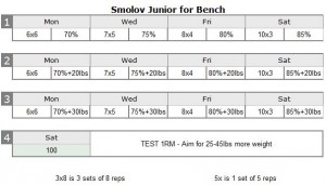 Smolov Routine Review:The Smolov Squat Cycle and Smolov Junior For ...
