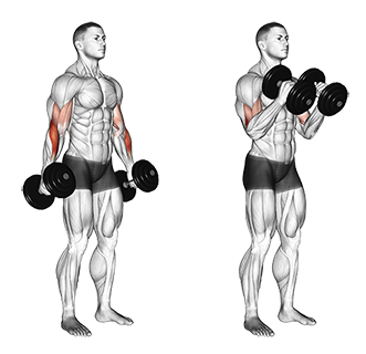 Bicep, Elbow and Shoulder Pain from Low Bar Squats – PowerliftingToWin